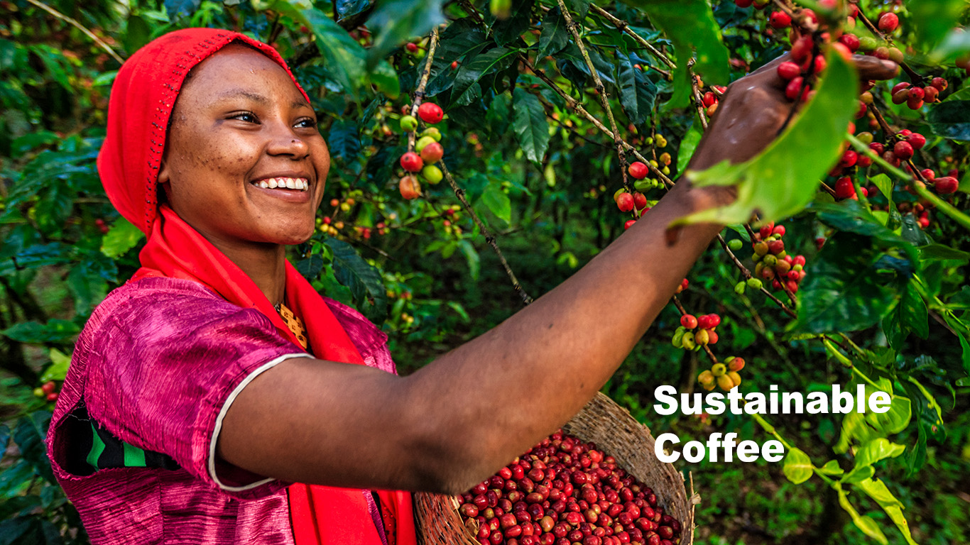 TRST01Chain on International Coffee Day - Sustainable Supply Chain, ESG ...