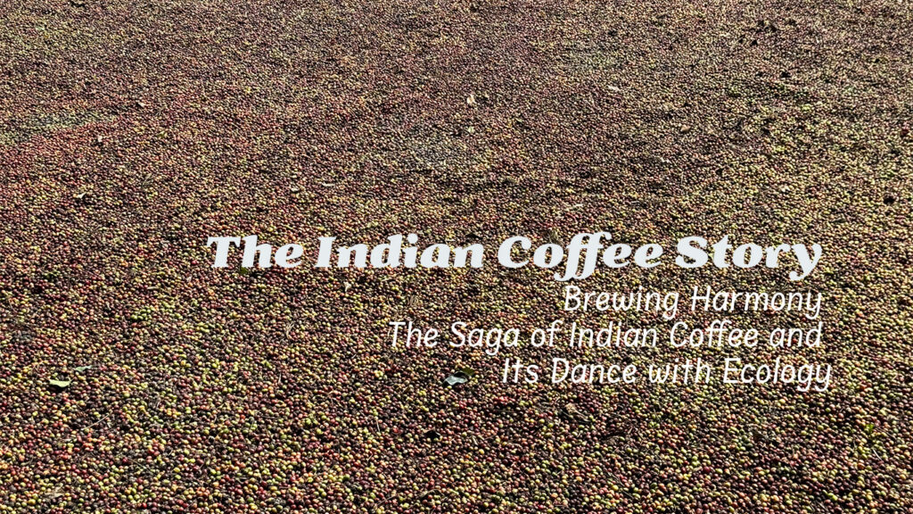 A Look into the Story of Indian Coffee - Sustainable Supply Chain, ESG ...