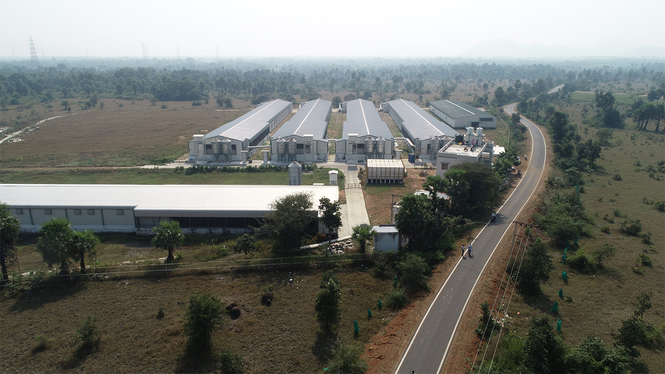 Egg Traceability: Where Tech Builds Trust, Community, and the Future of ...