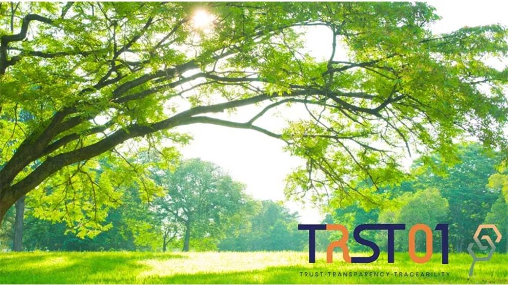 Embracing Sustainability: Insights into Sustainable Tech - Sustainable ...